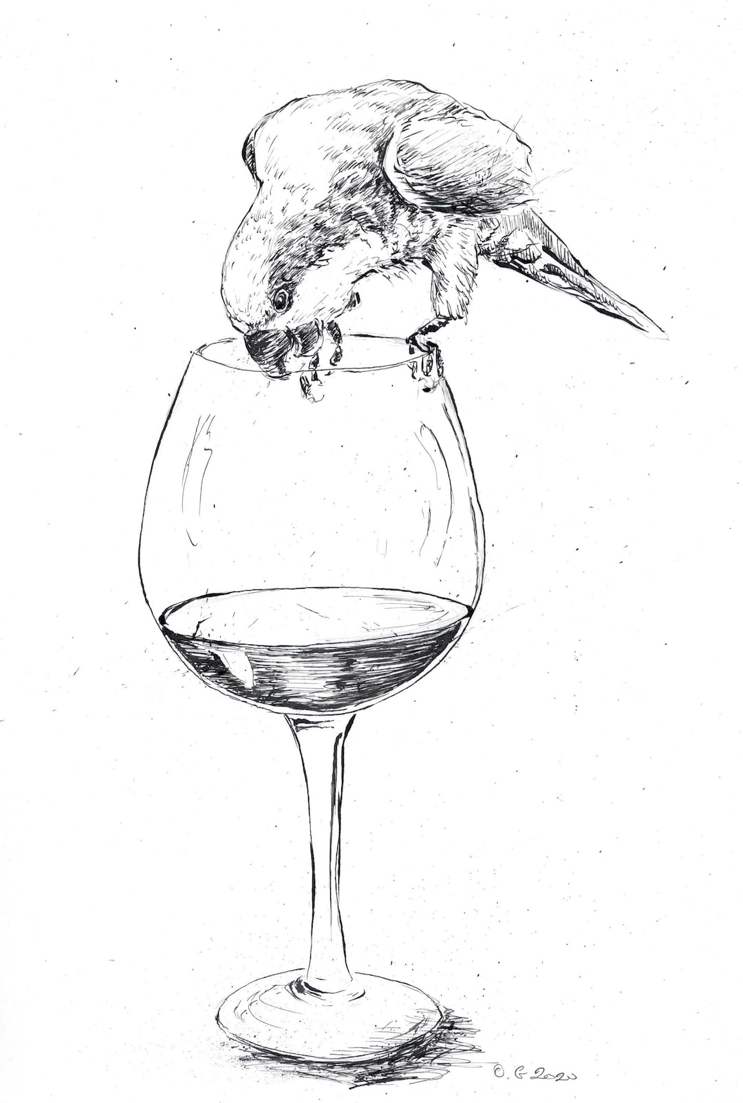 Minimalist Sketch of Bird Drinking From Wine Glass. Print From Pen and ...