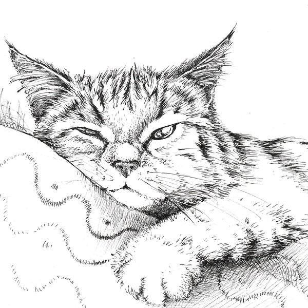 Zwart wit tekening - Etsy Nederland