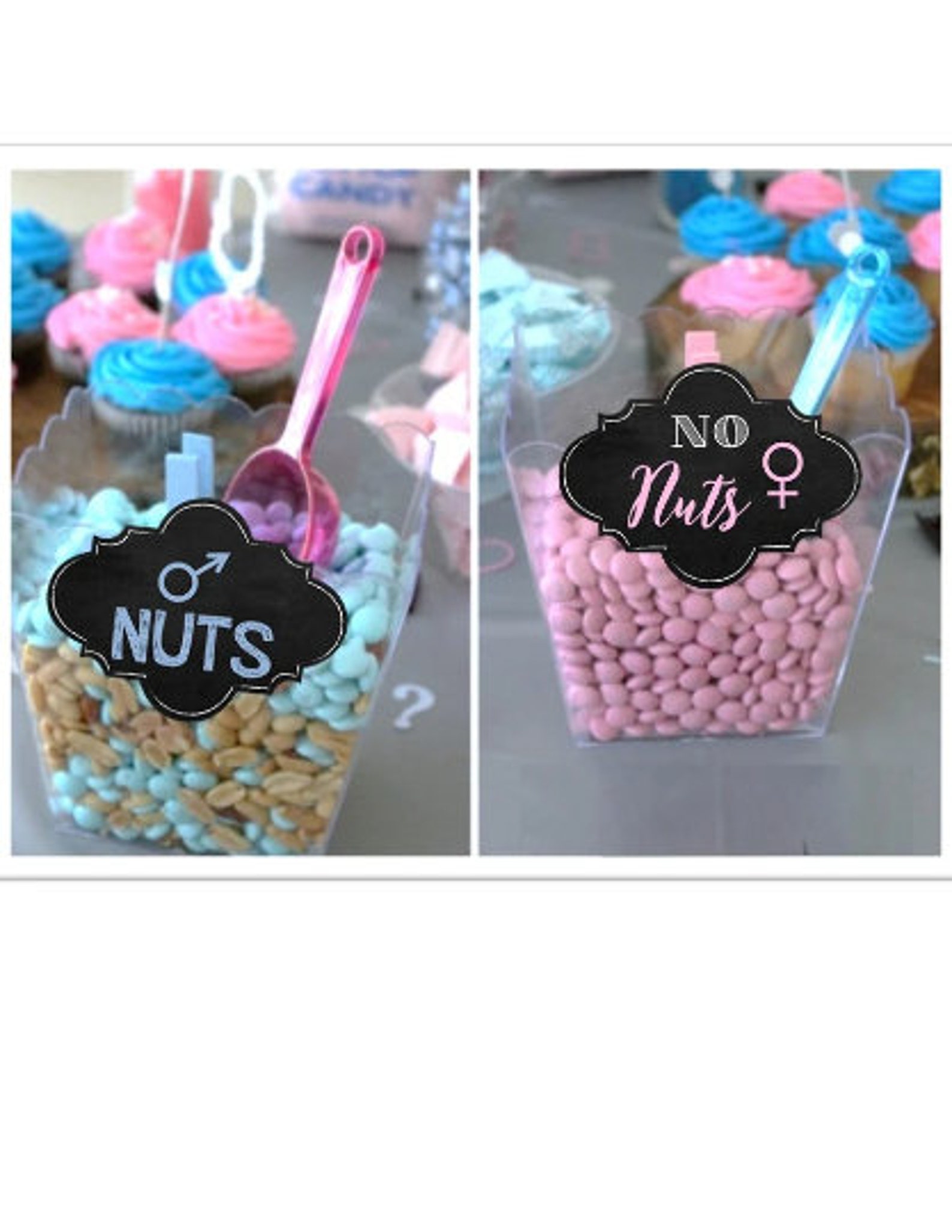 Nuts or No Nuts Gender Reveal No Nuts Gender Reveal Ideas - Etsy