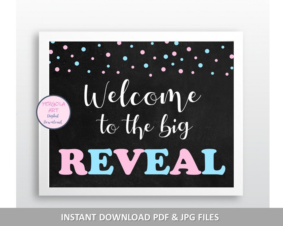 Welcome to the Big Reveal Sign Gender Reveal Decorations | Etsy