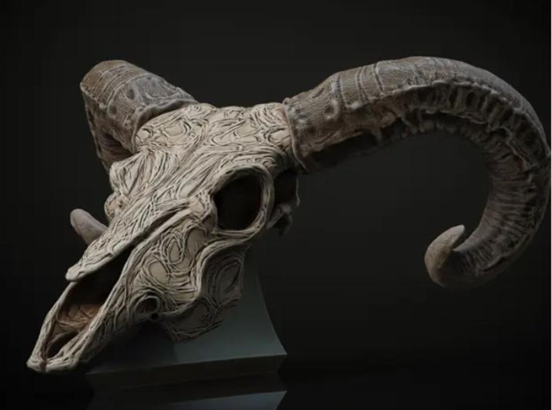 Ritual Goat Skull | Multiple Sizes (S-XL) | Statues & Figures ...