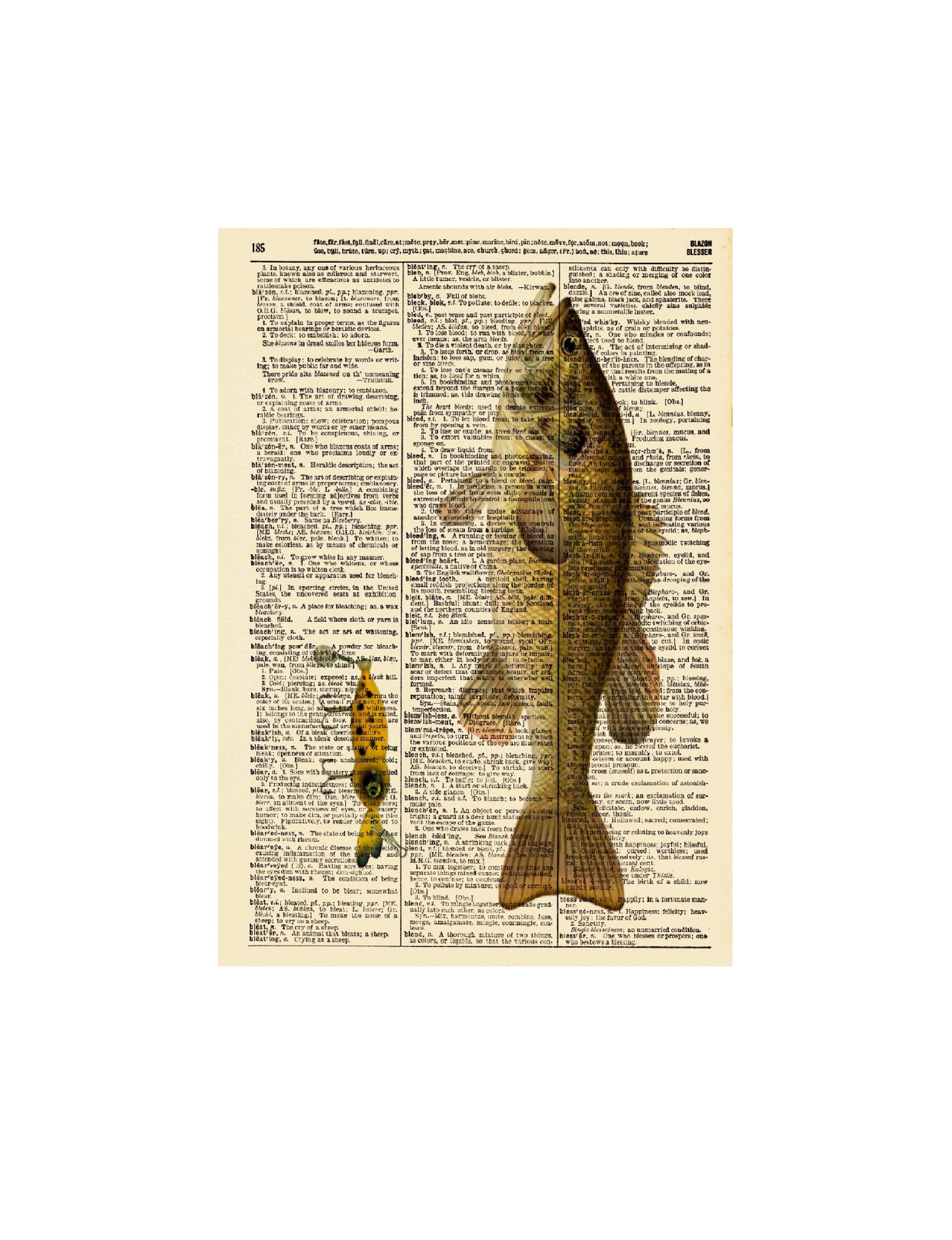 Vintage Dictionary Wall Art Large Mouth Bass - Etsy