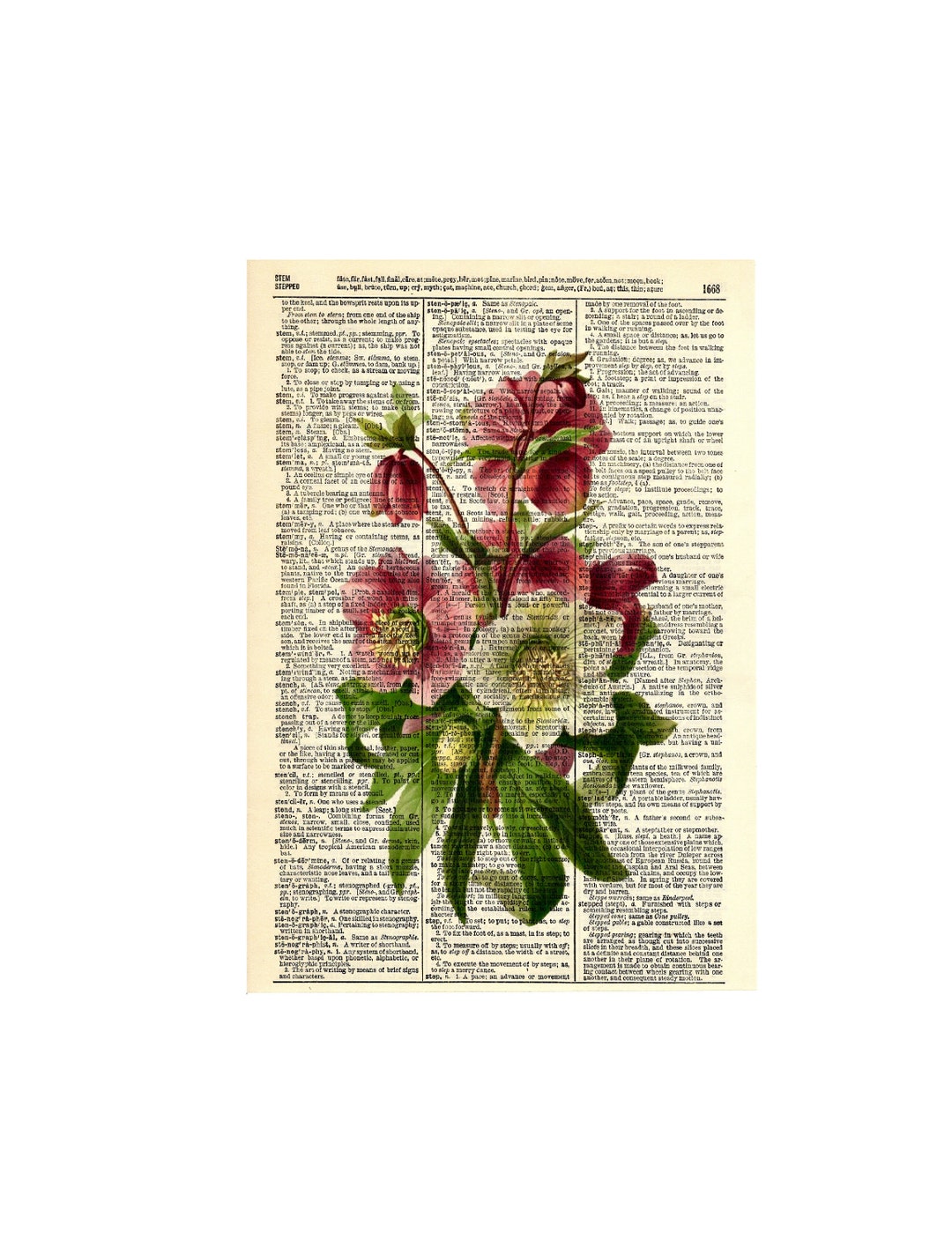 Digitalvintage Dictionary Wall Art With Pink Floral Graphic - Etsy