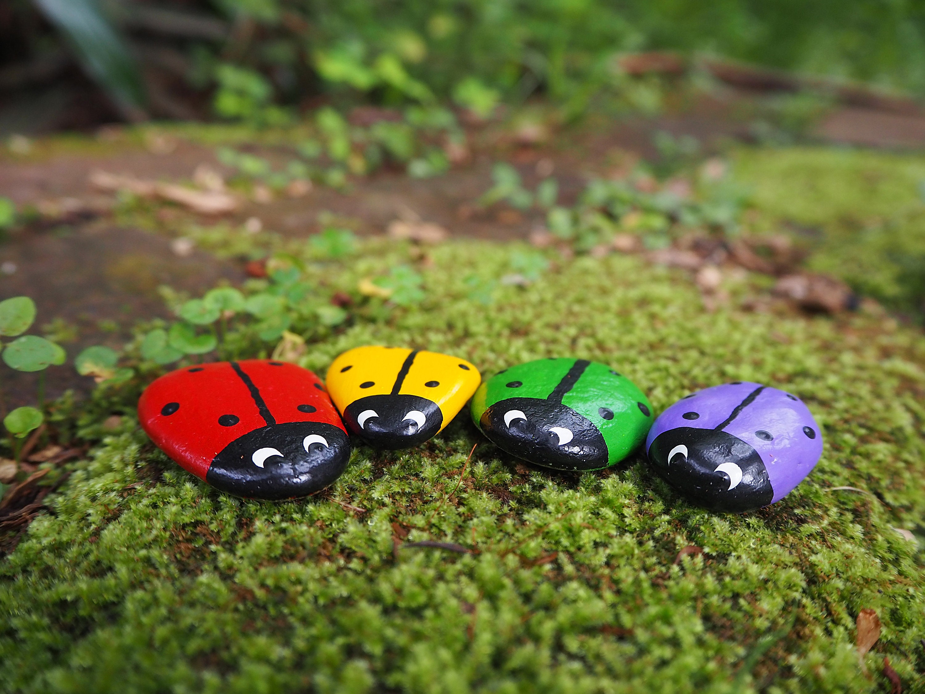 Bright Hand-painted Ladybug Pebble Choose Your Colour | Etsy