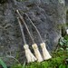 Miniature Twig Fairy Broom, Witch Broom - Etsy Australia
