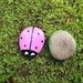 Bright Hand-painted Ladybug Pebble, Choose Your Colour, Ladybird Rock ...