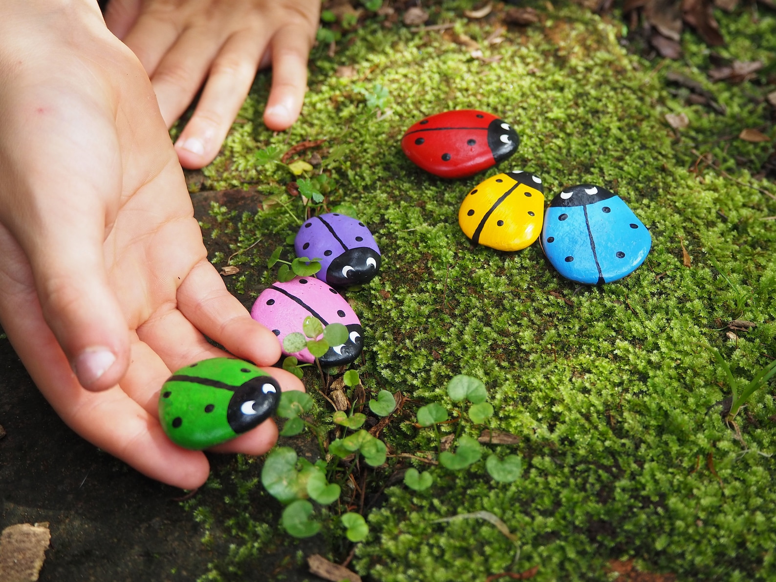 Bright Hand-painted Ladybug Pebble, Choose Your Colour, Ladybird Rock ...