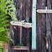 Rustic Fairy Garden Sign Twig Sign Choose From 'fairies - Etsy