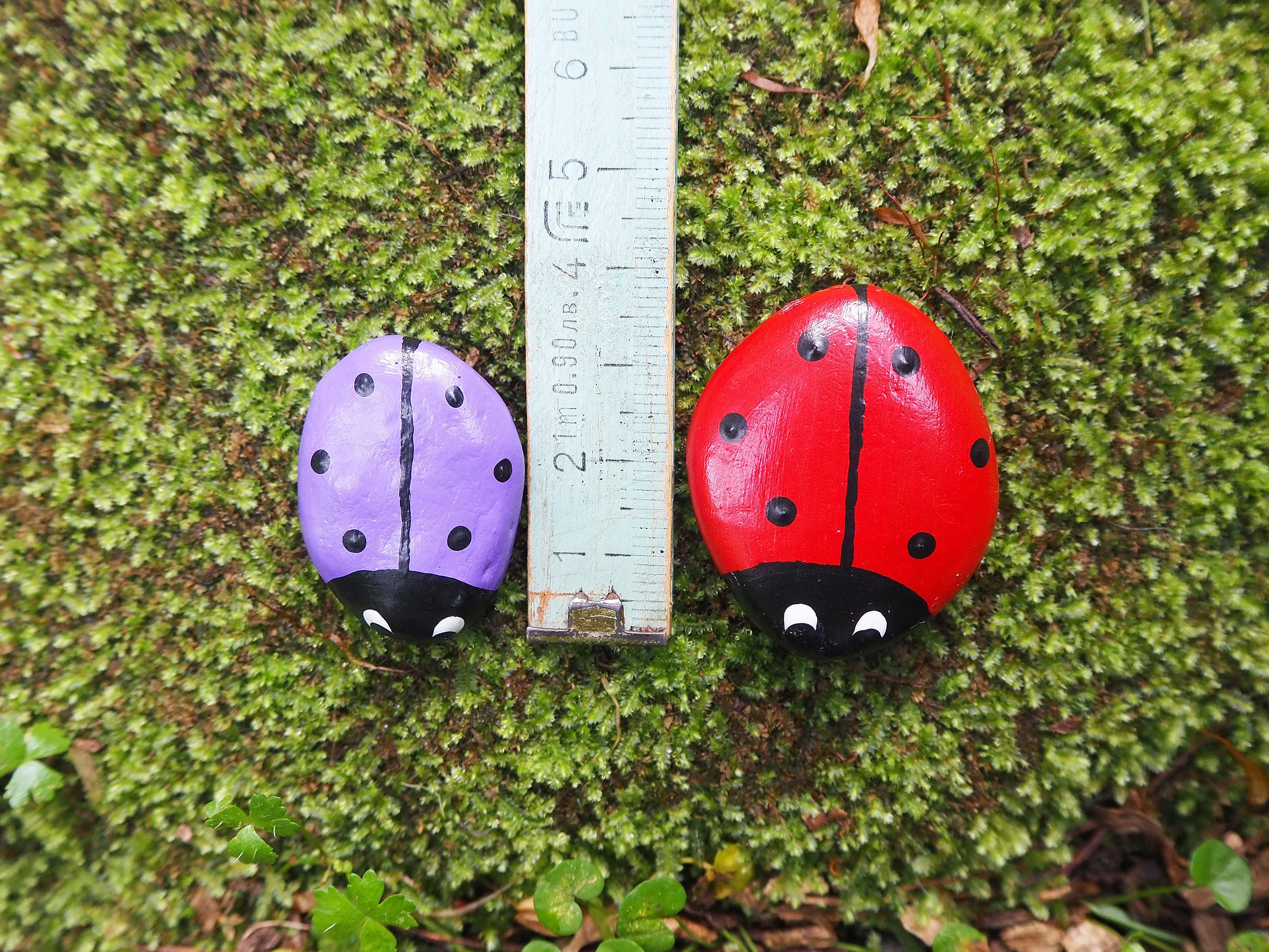 Bright Hand-painted Ladybug Pebble, Choose Your Colour, Ladybird Rock ...