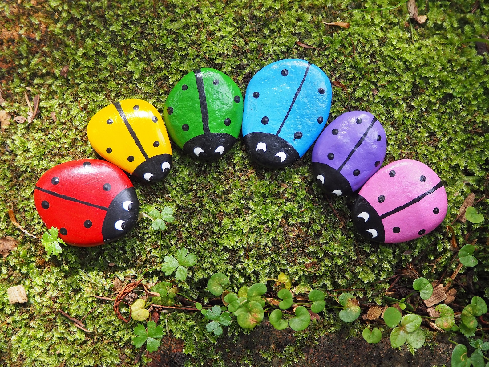 Bright Hand-painted Ladybug Pebble, Choose Your Colour, Ladybird Rock ...