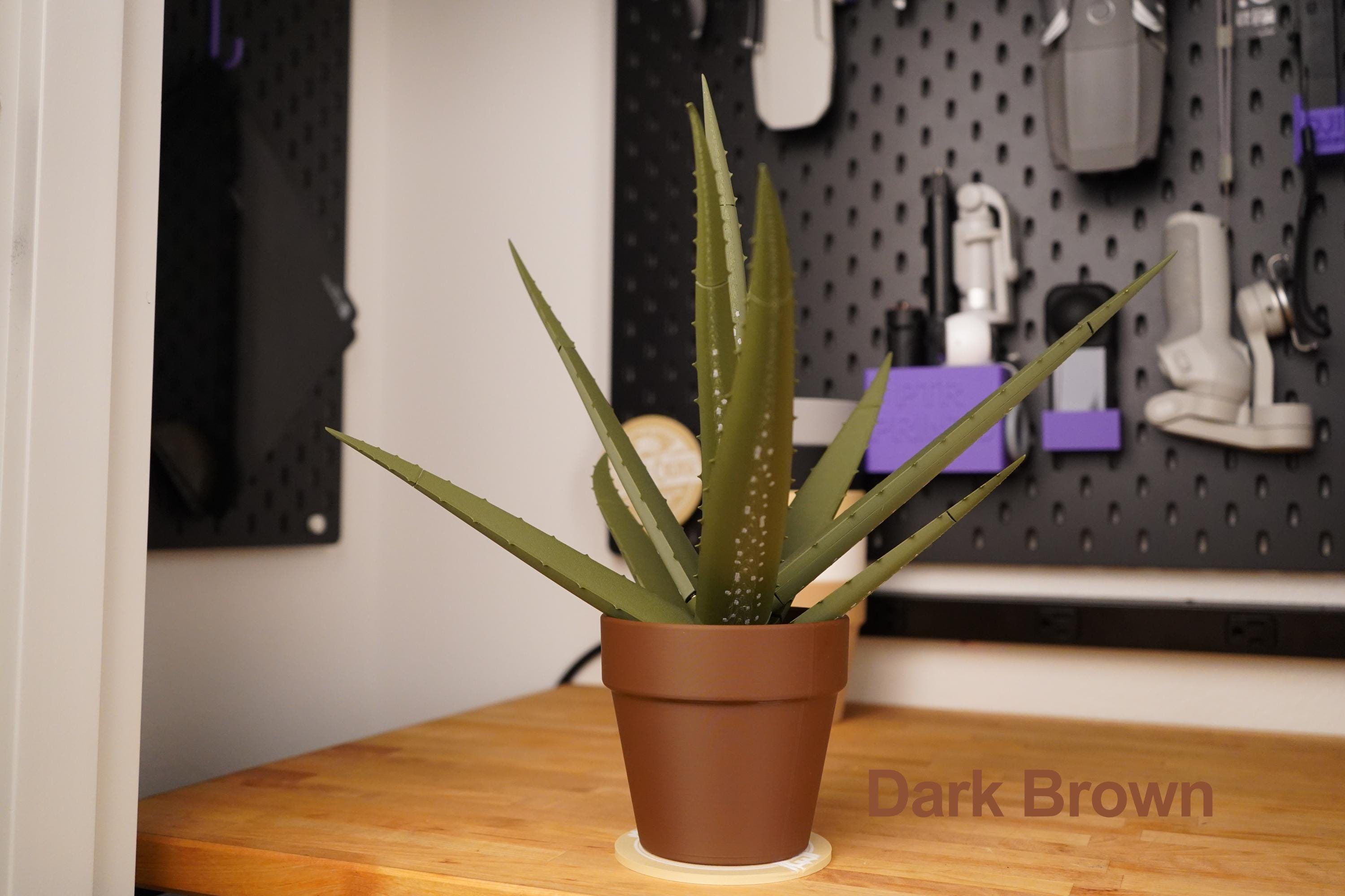 Aloe Plant Pen Holder - Unique and Clever Way to Store Your Pens - Etsy