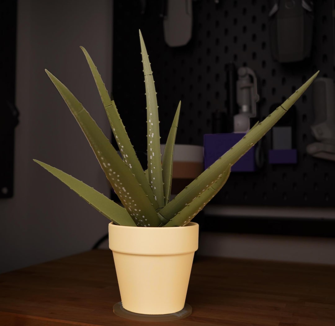 Aloe Plant Pen Holder - Unique and Clever Way to Store Your Pens - Etsy
