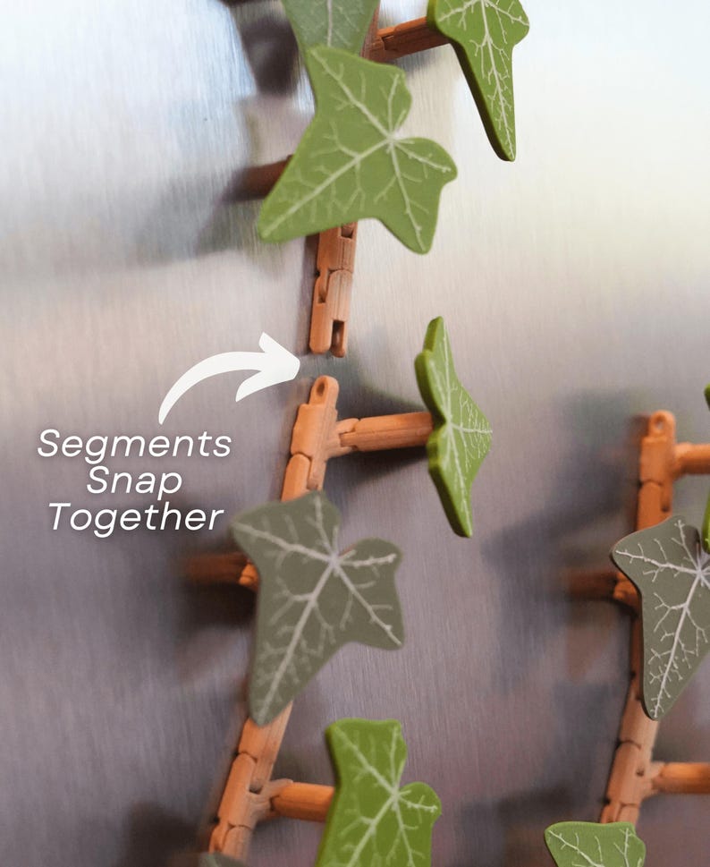 English Ivy Fridge Magnet: Articulating Plant-based Vine - Etsy