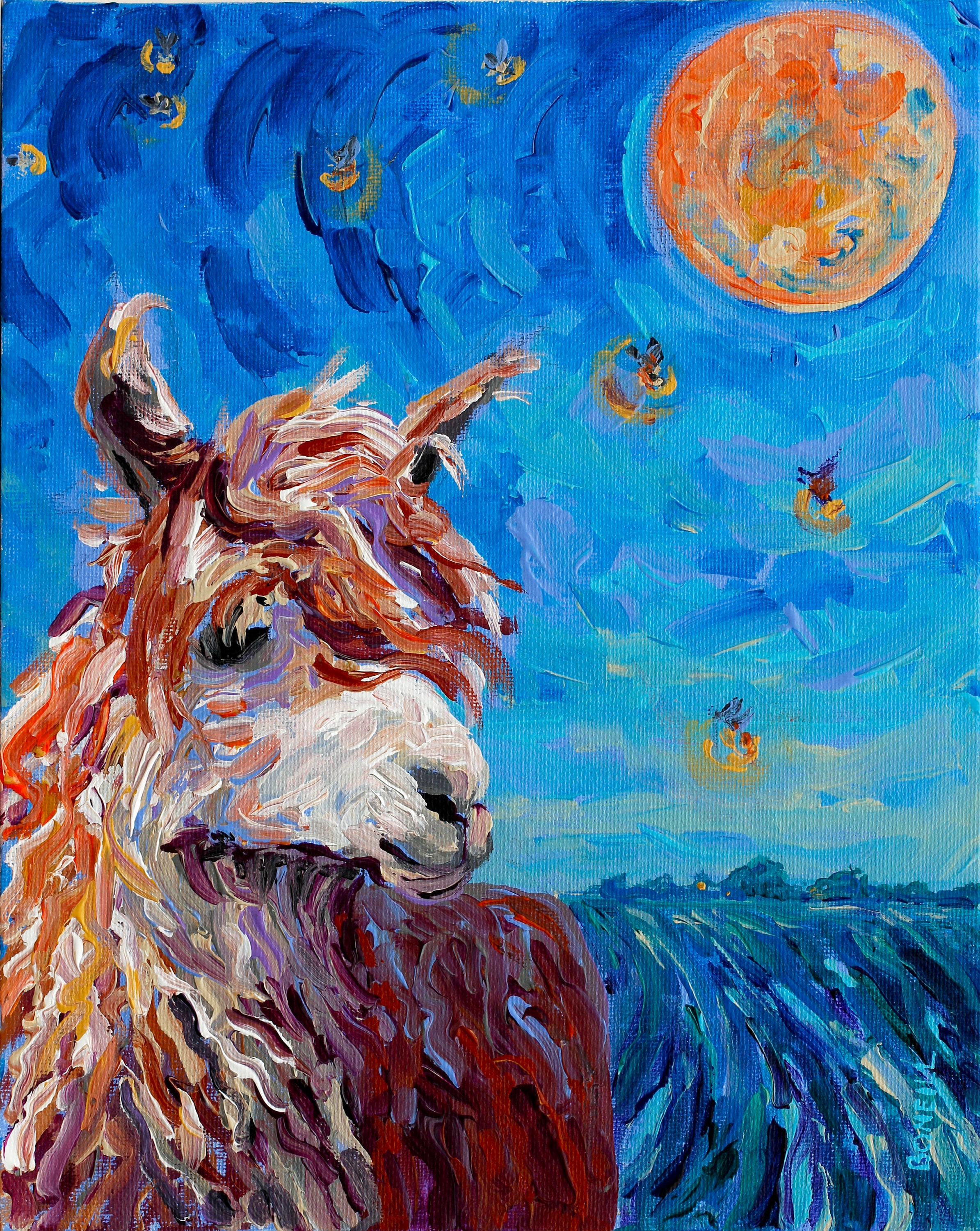 Helios Alpaca 24 X 24