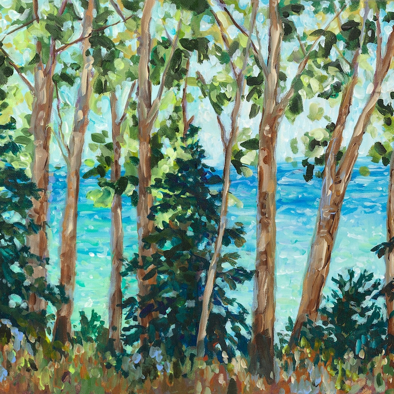 Lake Michigan M22 - Etsy