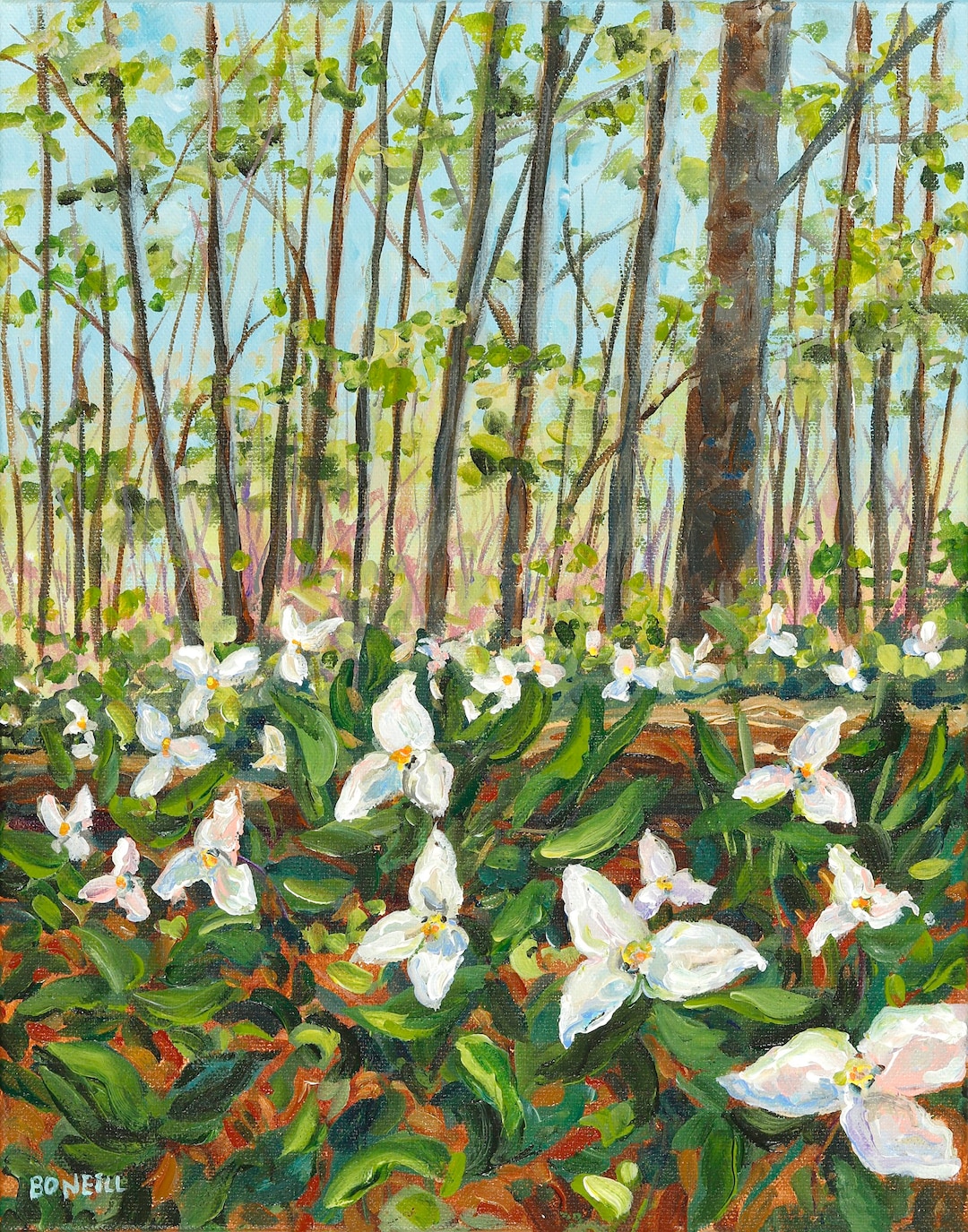 Trillium, Michigan Woods, Spring Flowers, Flora and Fauna, Betsy Oneill ...