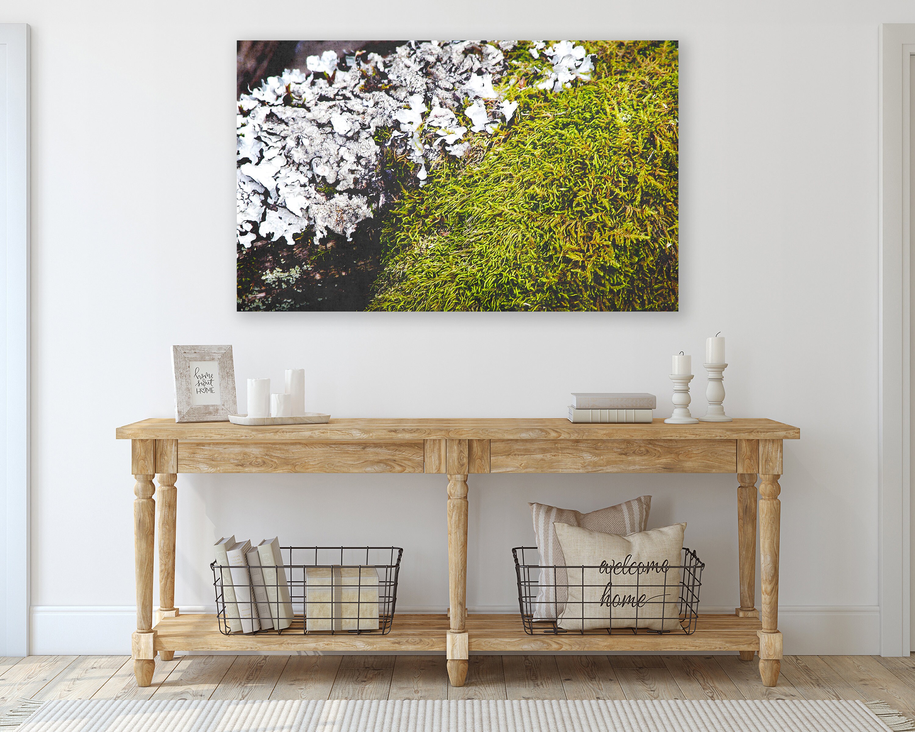 Printable Moss Wall Art Instant Download Print Nature - Etsy UK