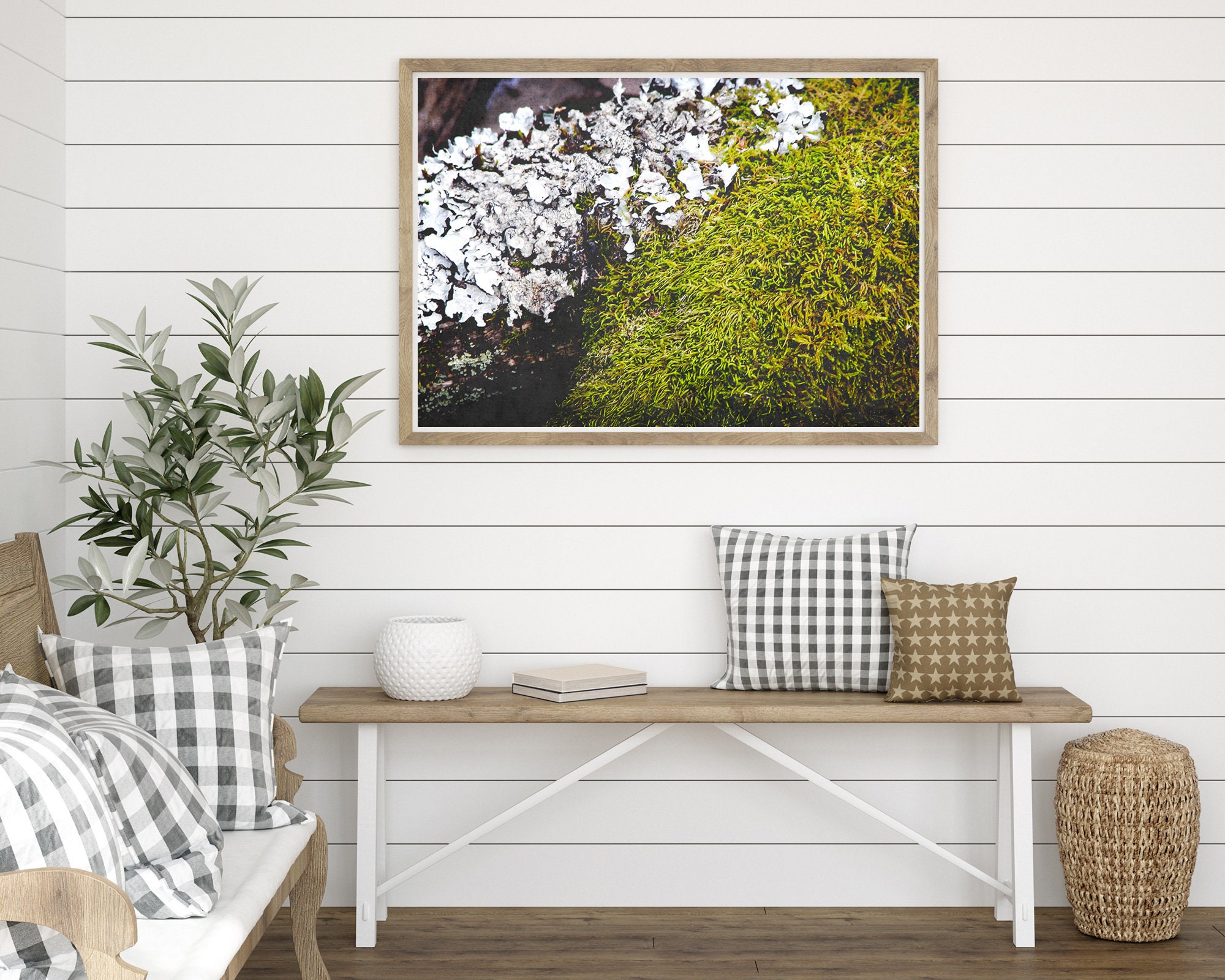 Printable Moss Wall Art Instant Download Print Nature - Etsy UK