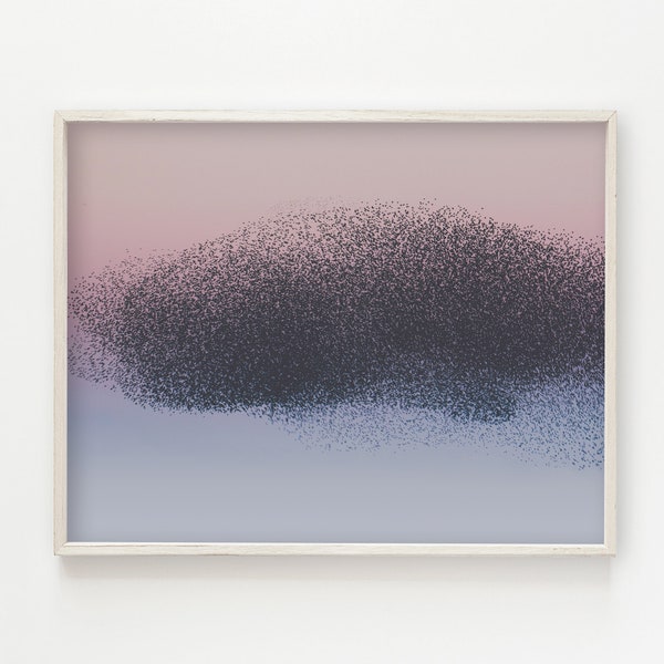 Murmuration - Etsy