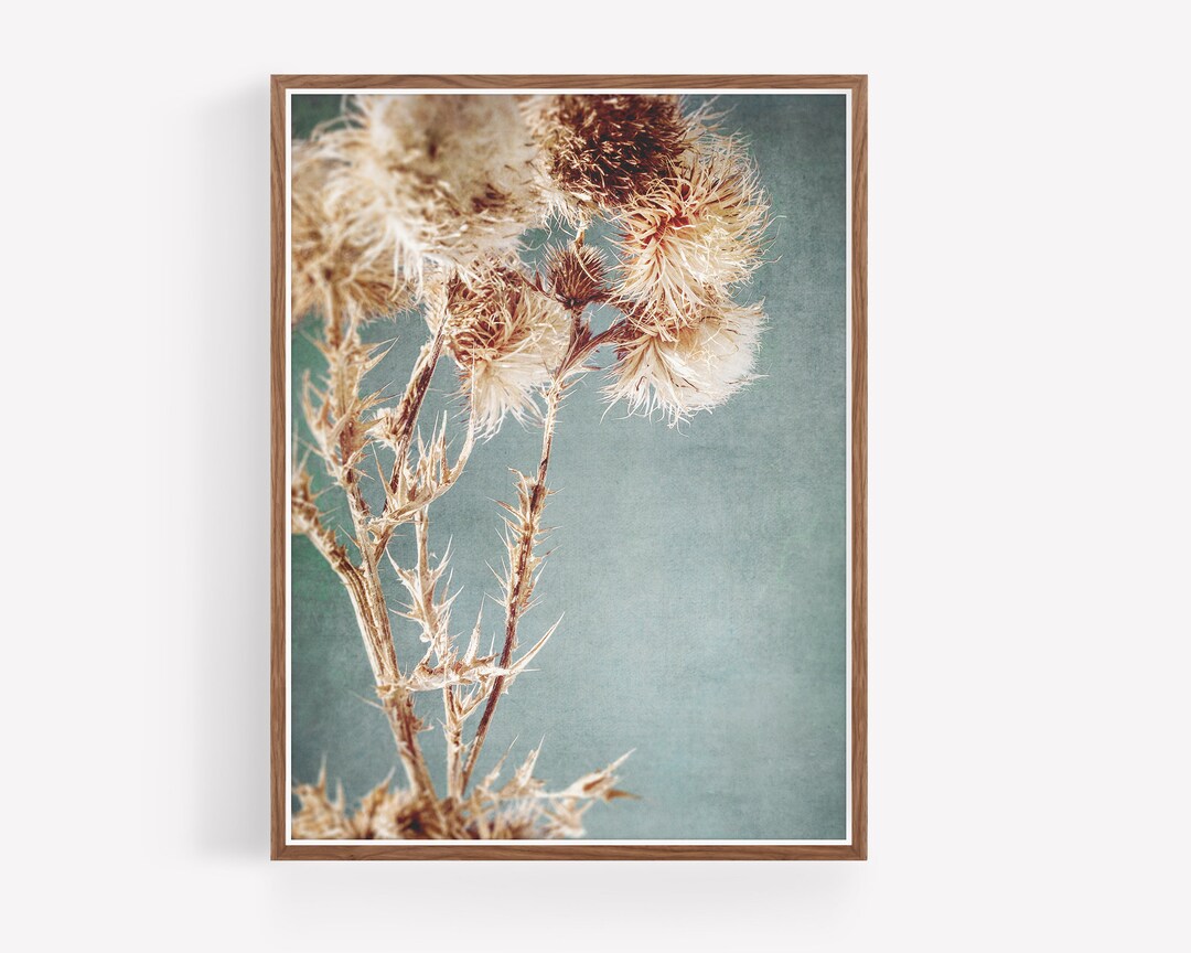 Botanical Thistles Print Digital Download Printable Wall Art Rustic ...