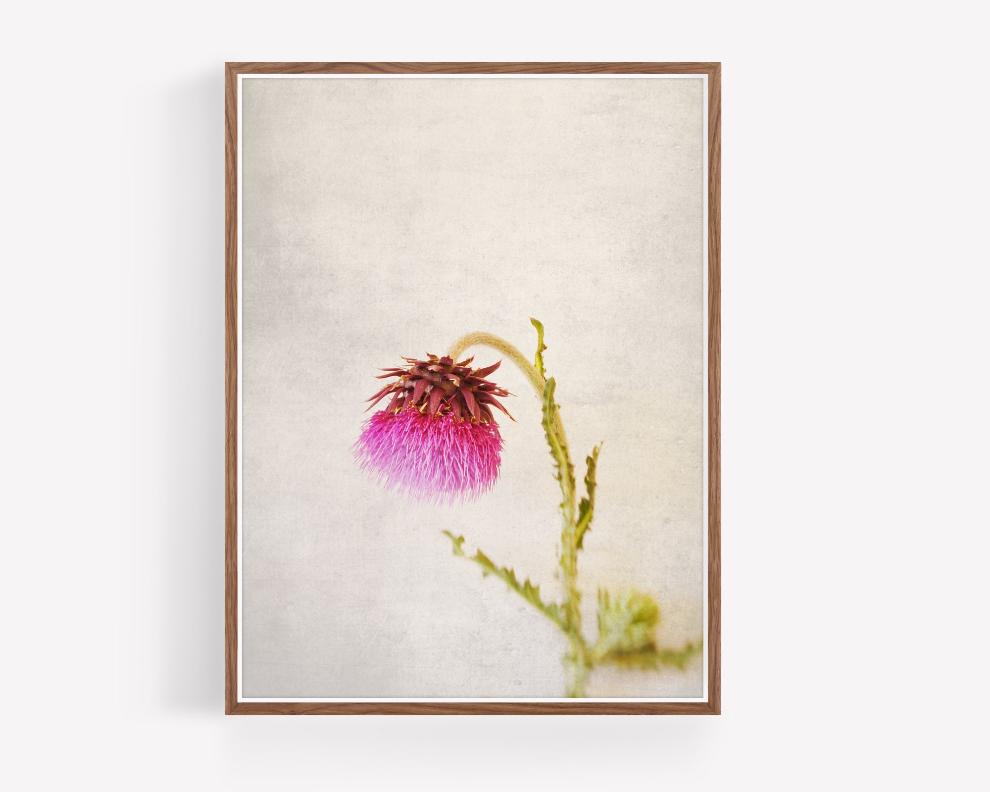 Printable Thistle Wall Art Botanical Wall Art Instant - Etsy