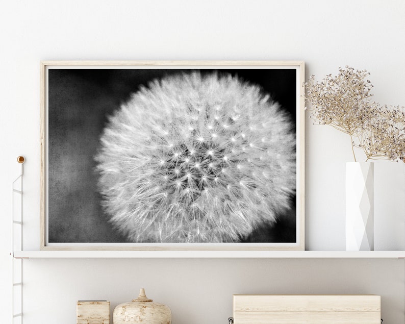 Printable Dandelion Photography Print Botanical Wall Art - Etsy