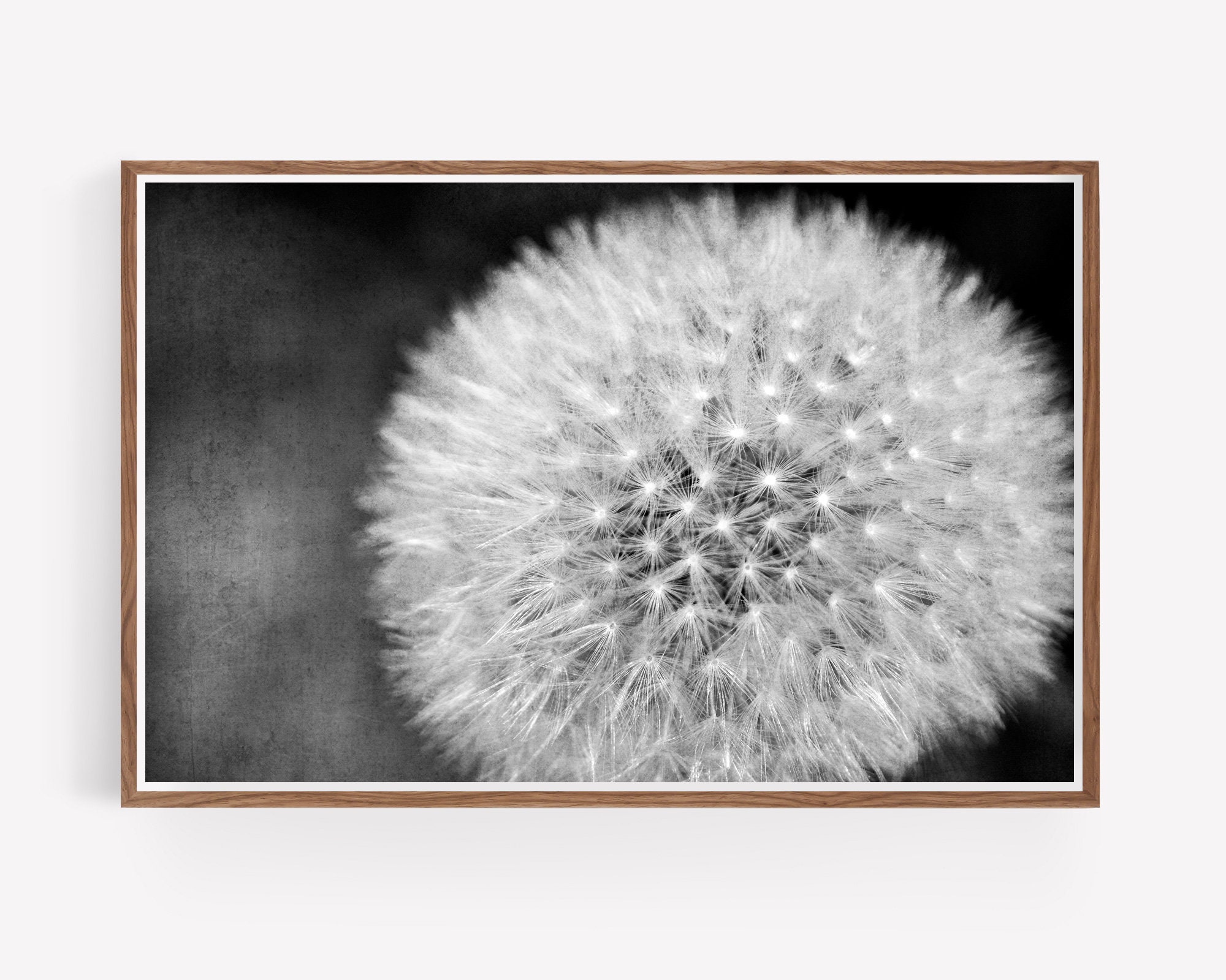 Printable Dandelion Photography Print Botanical Wall Art - Etsy