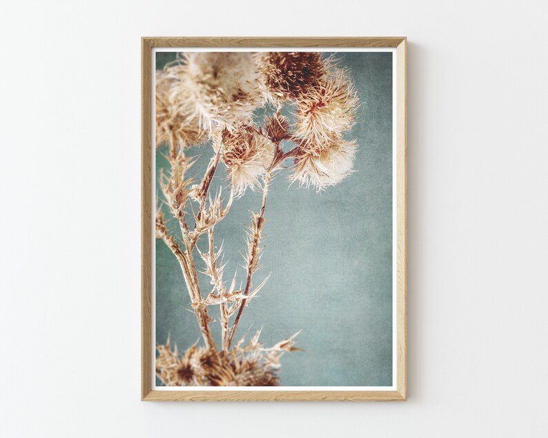 Botanical Thistles Print Digital Download Printable Wall - Etsy