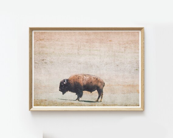 Printable Bison Photography Print Instant Download Print - Etsy