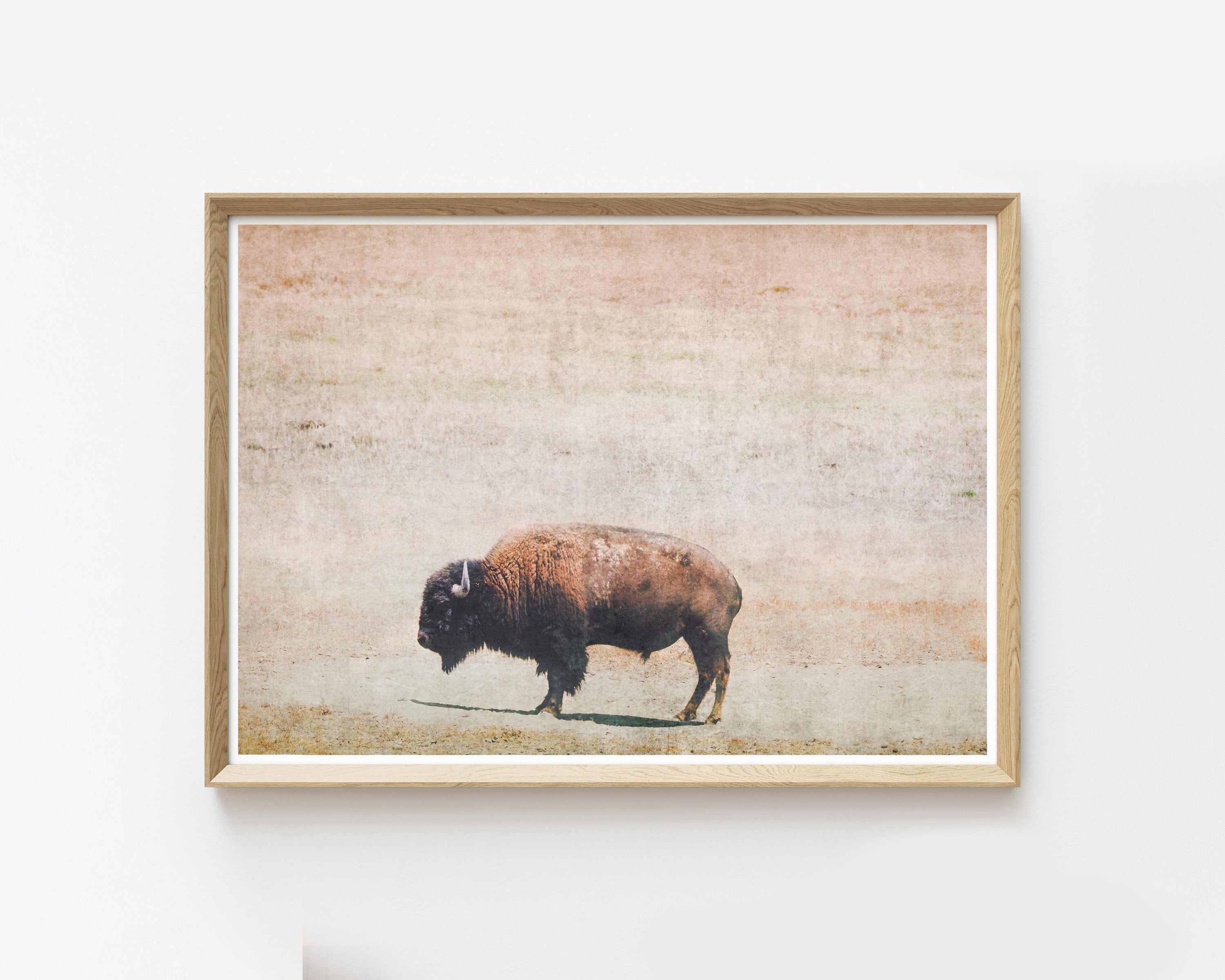Printable Bison Photography Print Instant Download Print Printable Wall ...