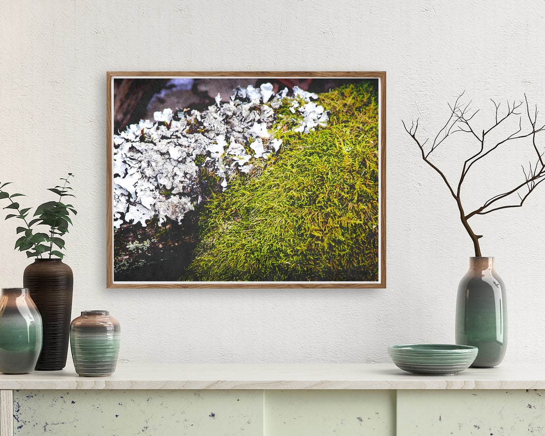Printable Moss Wall Art Instant Download Print Nature - Etsy UK