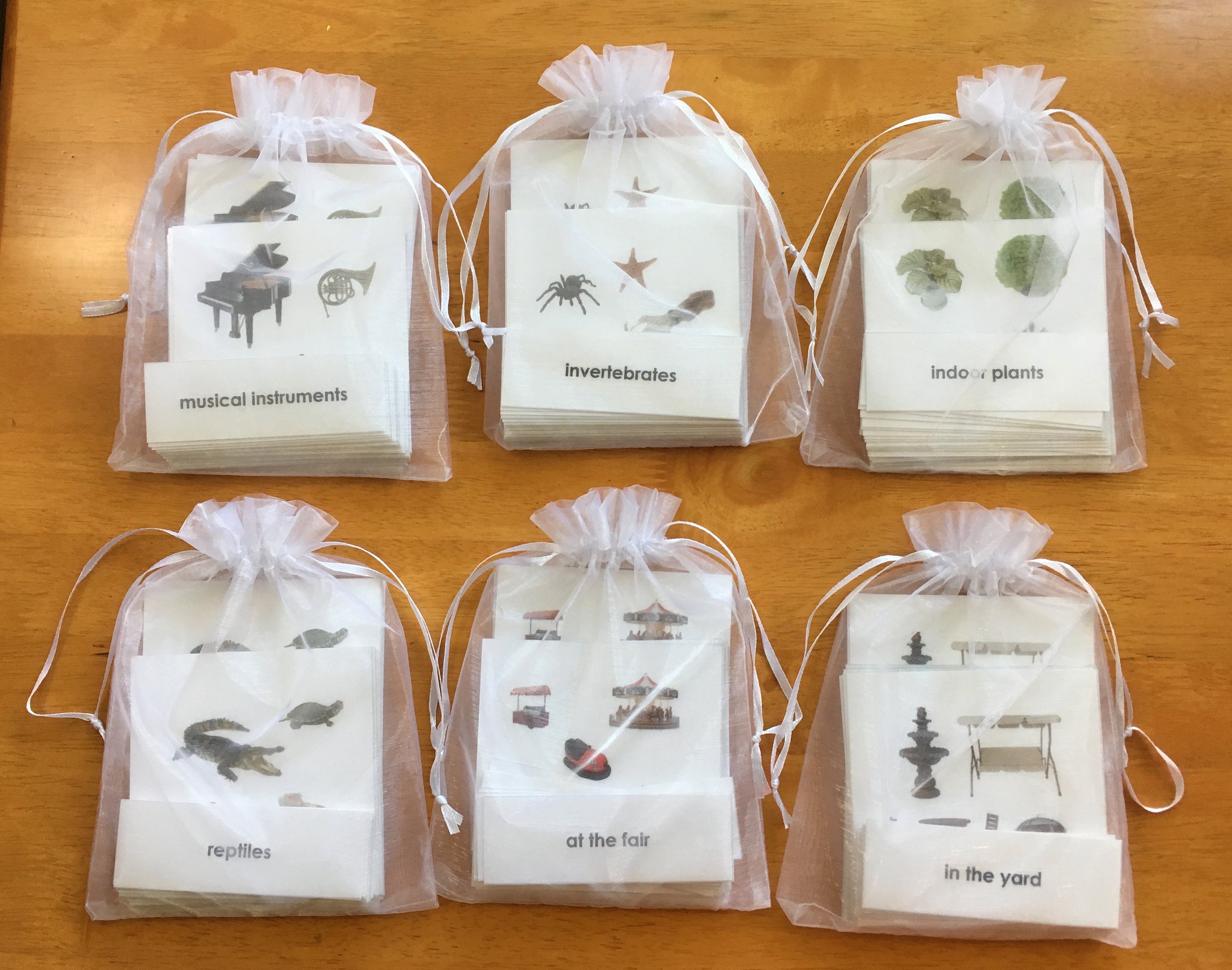 MEGABUNDLE - 58 Sets of Montessori Classified Three Part Cards (in ...