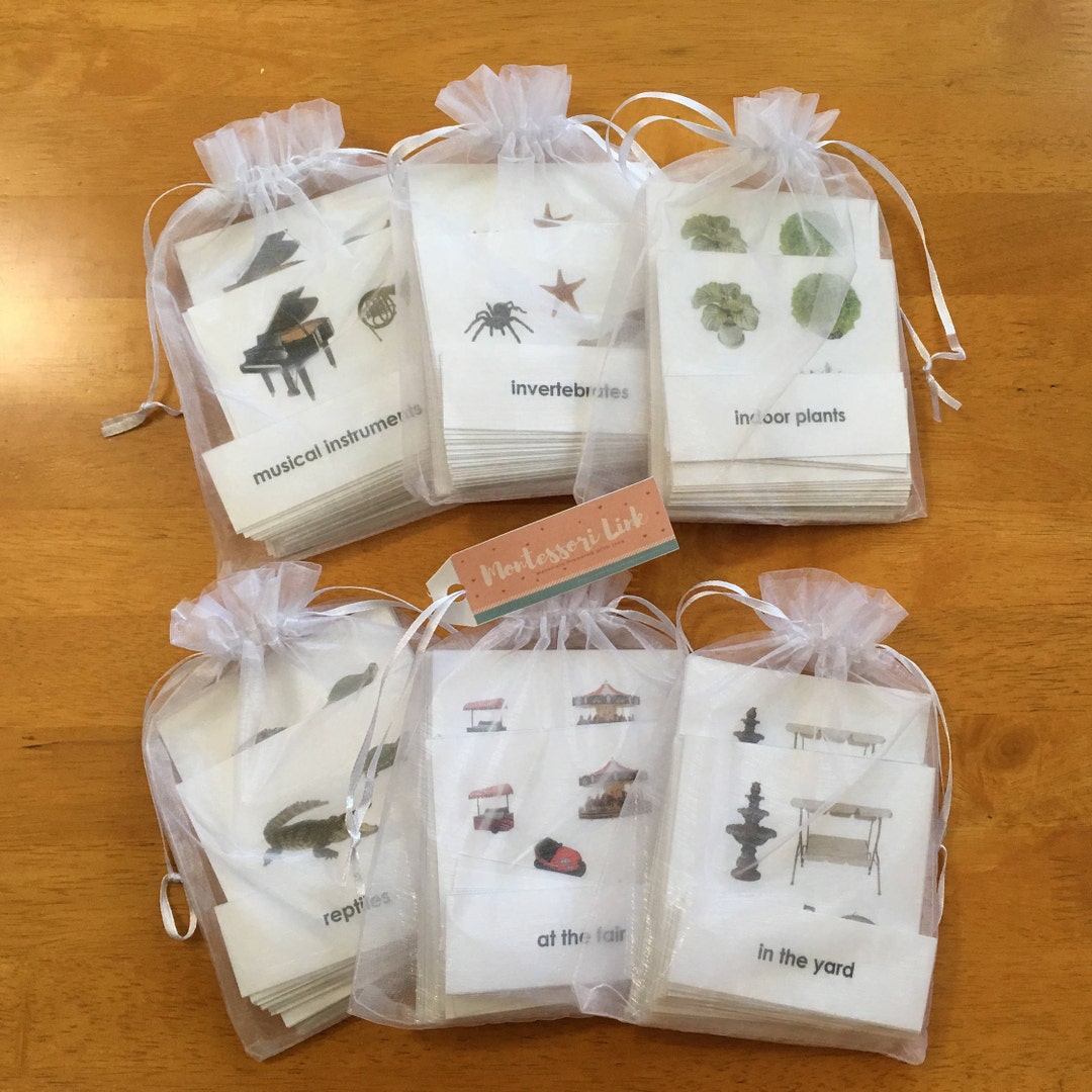 MEGABUNDLE - 58 Sets of Montessori Classified Three Part Cards (in ...