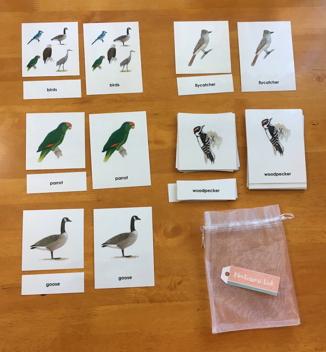 MEGABUNDLE - 58 Sets of Montessori Classified Three Part Cards (in ...