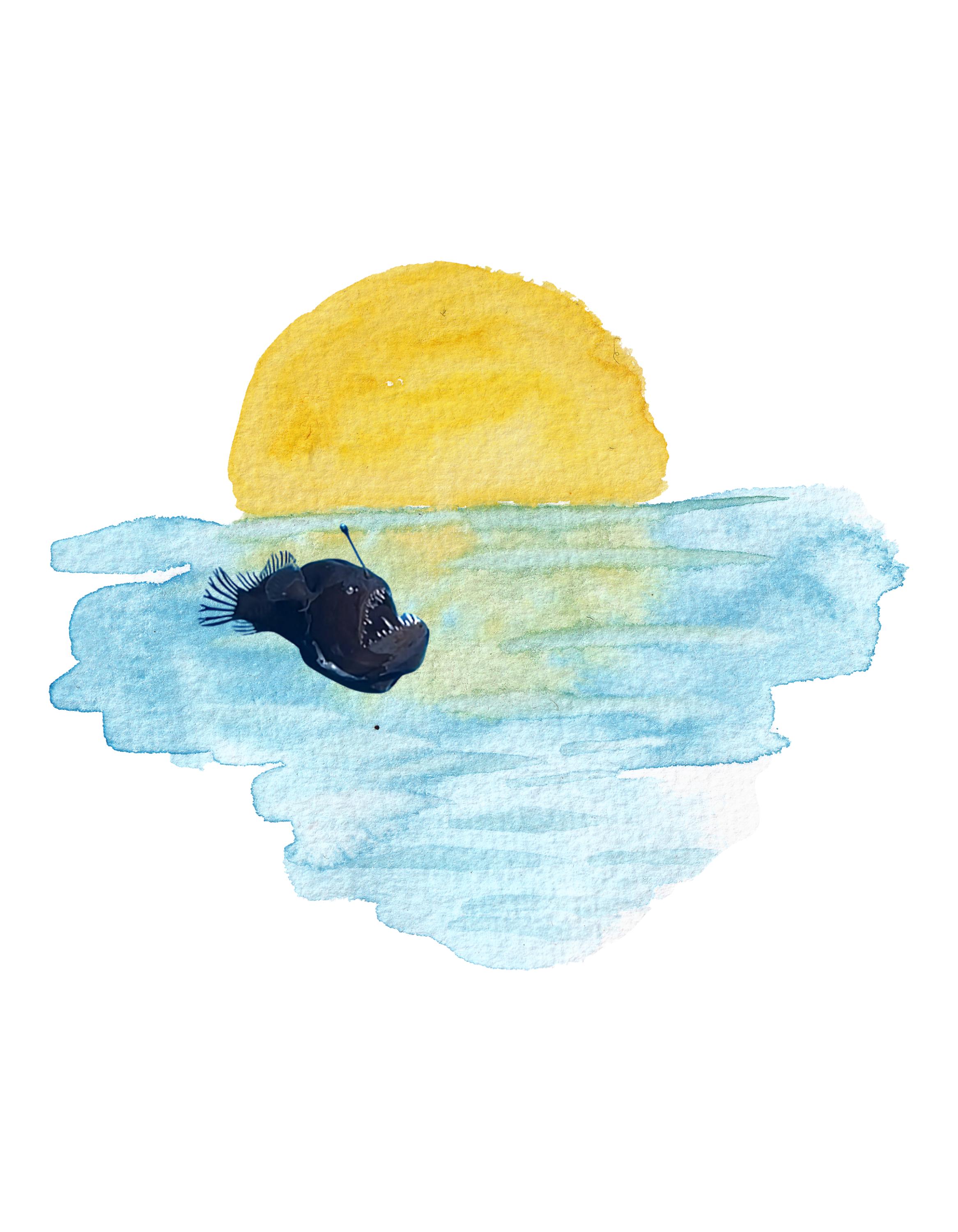 Female Anglerfish Digital Print Pack – 5 X Deep Sea Art Designs for T ...