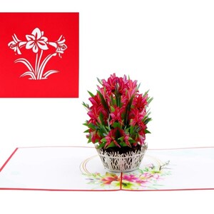 Red Amaryllis Pop up Card - Etsy