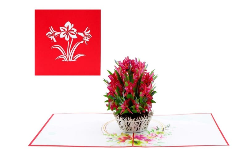 Red Amaryllis Pop up Card - Etsy