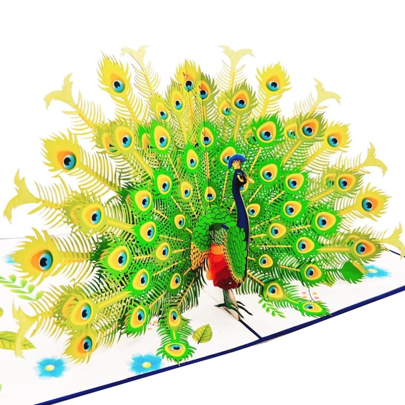 Peacock Pop up Card - Etsy