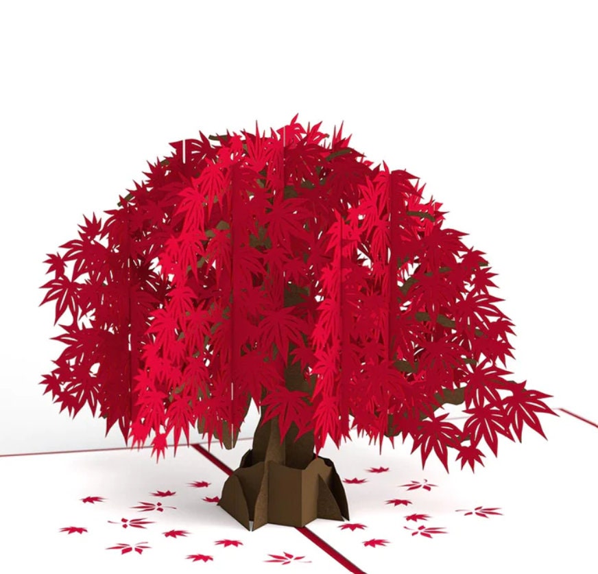 Japanese Red Maple Tree Pop up Card - Etsy