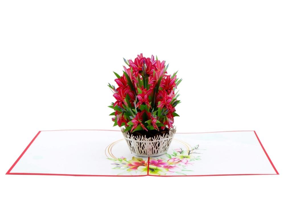 Red Amaryllis Pop up Card - Etsy