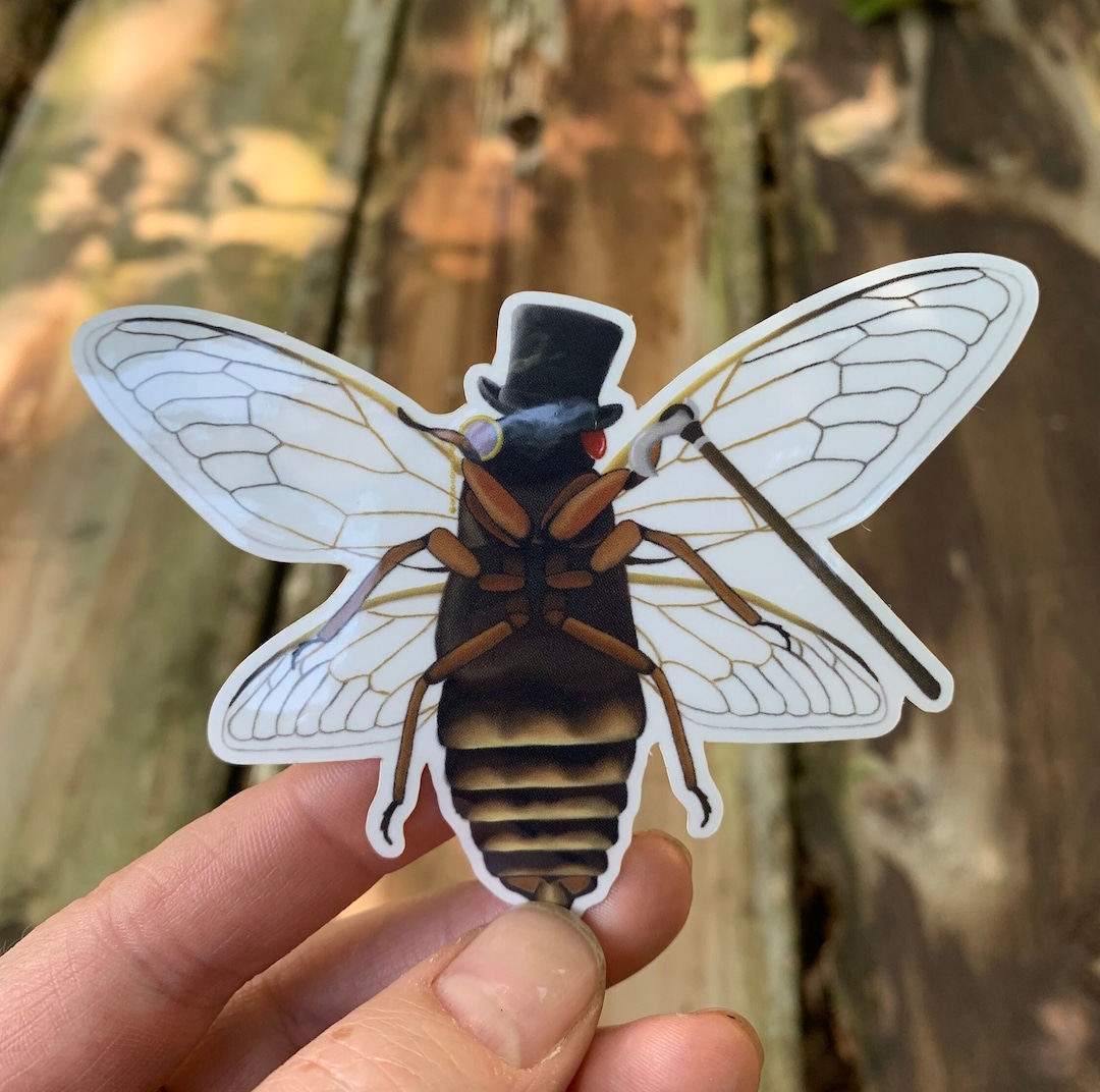 Dapper Cicada Vinyl Sticker - Etsy