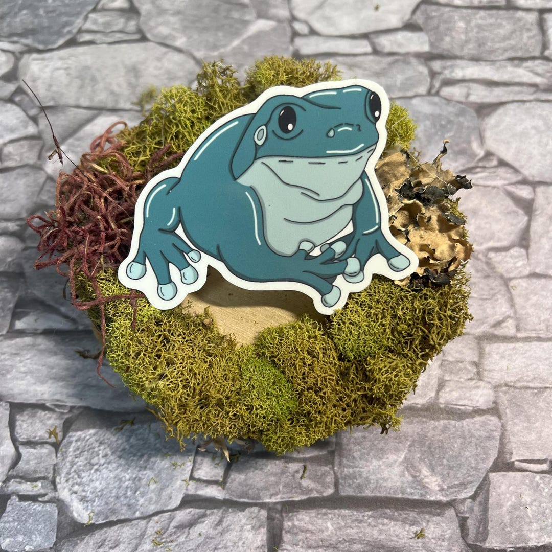 Turquoise, White's Tree Frog, Dumpy Frog, Vinyl Sticker - Etsy