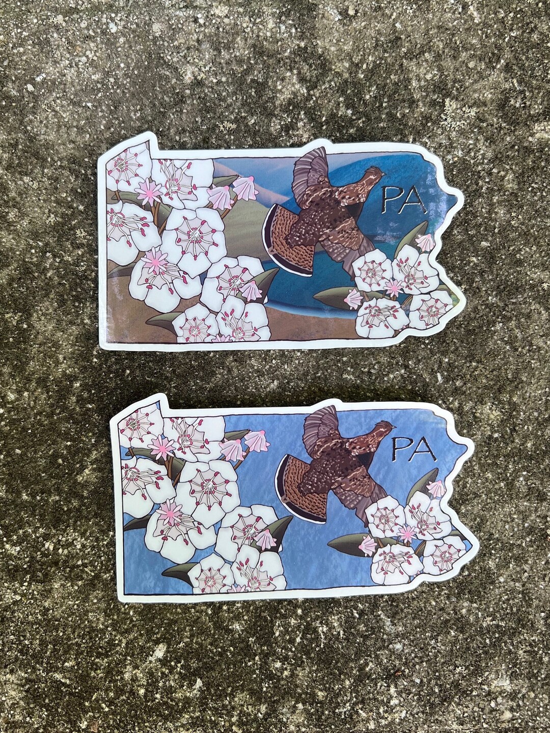 Pennsylvania State Sticker, Mountain Laurel, Ruffed Grouse, Vinyl ...