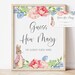 Guess How Many Game // Peter Rabbit Baby Shower Pink Peter - Etsy