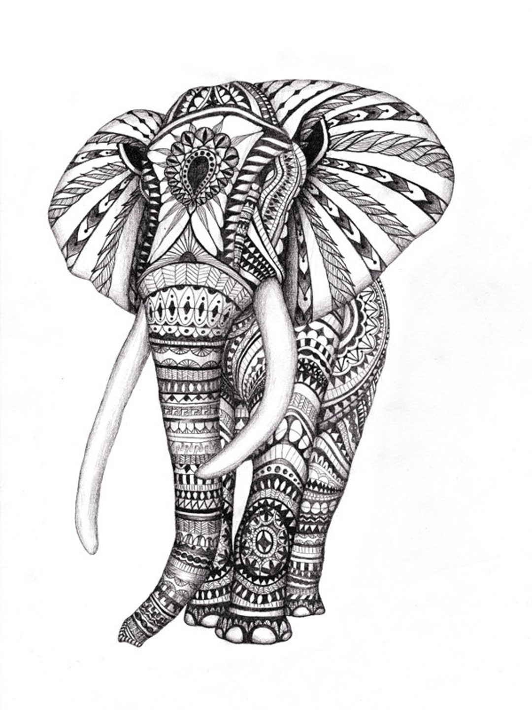 Aztec Elephant Drawing