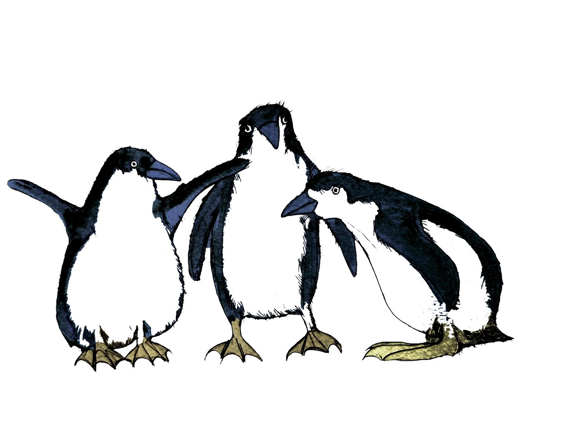 Original Art Penguins 3 Penguins in Pen and Ink Penguin Art - Etsy UK