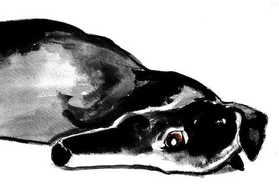Dog Art Original Lurcher Art Lurcher Illustration Pen and - Etsy Sweden