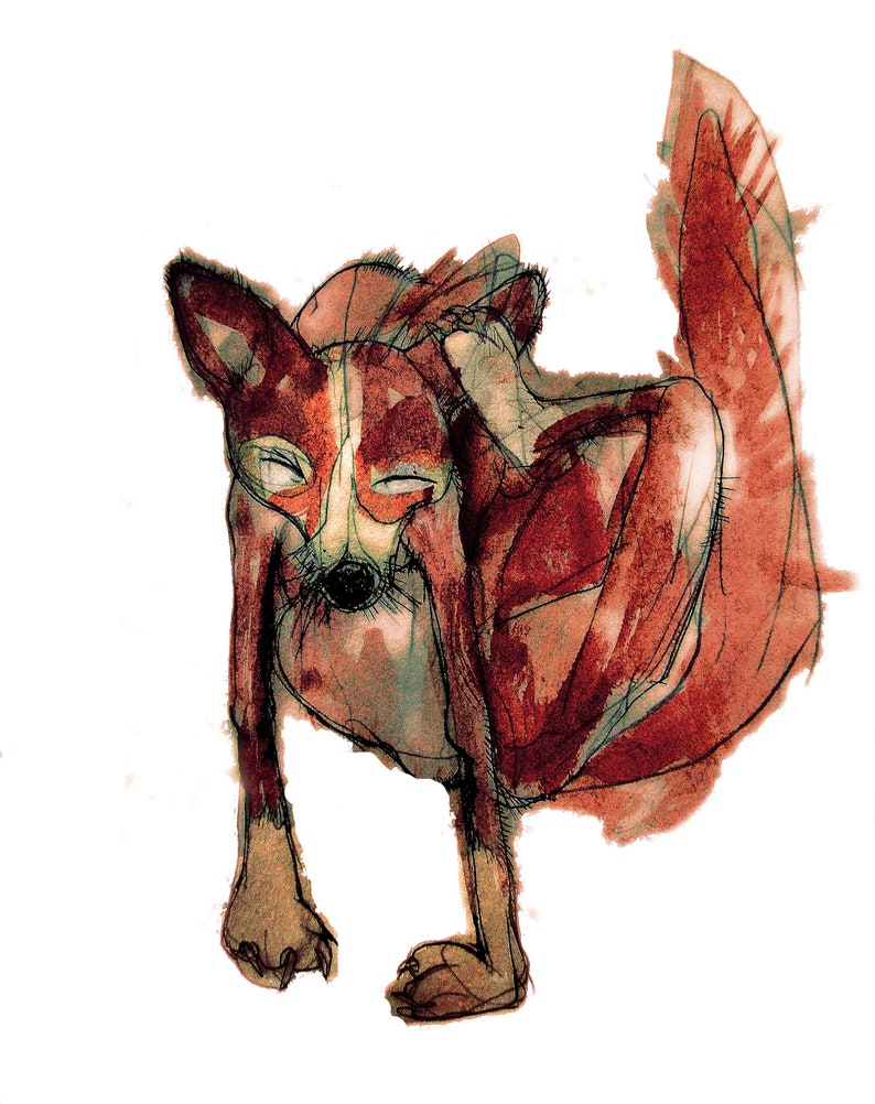 Fox Art, Fox Illustration, Red Ink Fox, Wildlife Art, Pen and Ink ...