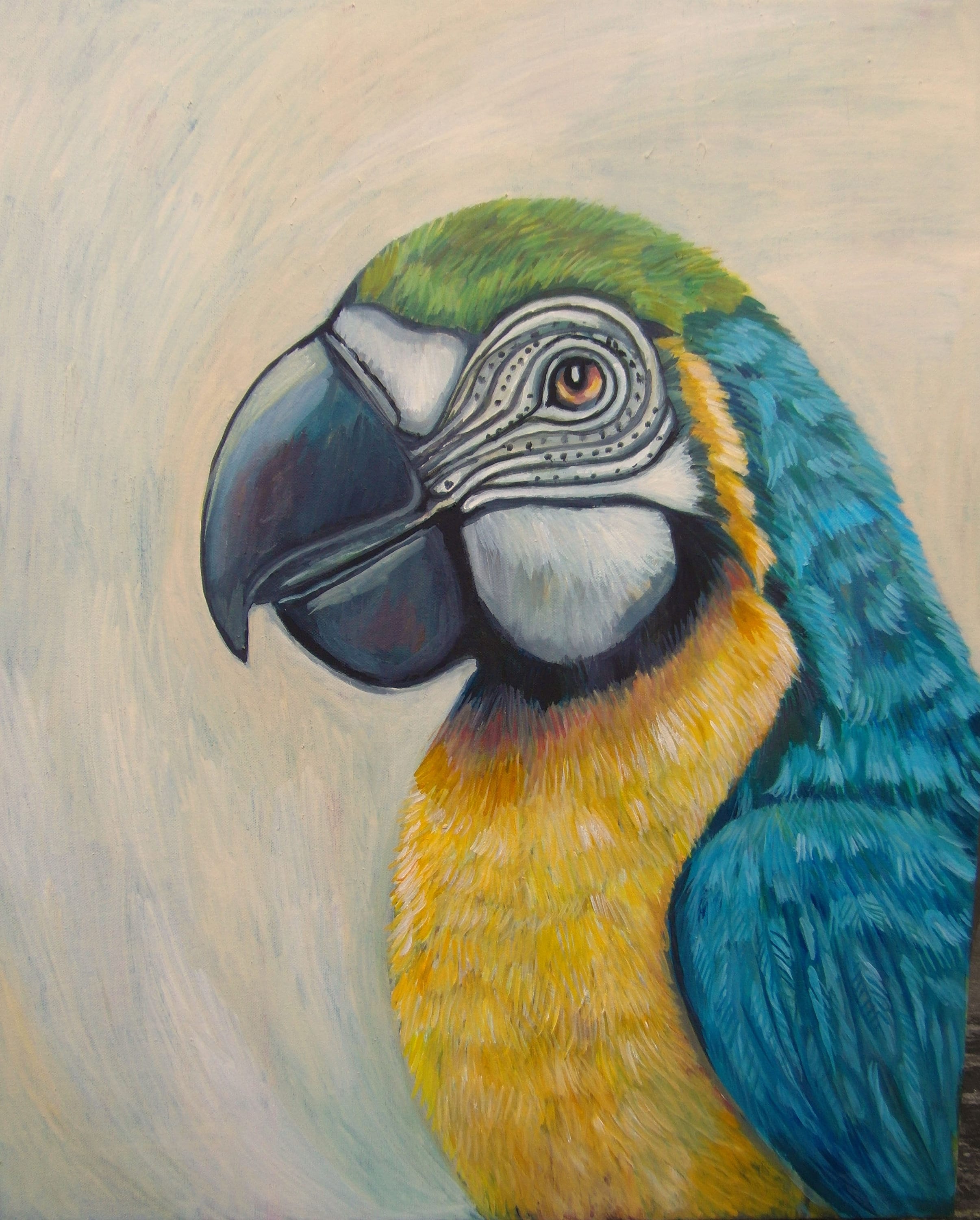 Original Parrot Painting, Bird Art, Oil Painting of Parrot, Original ...