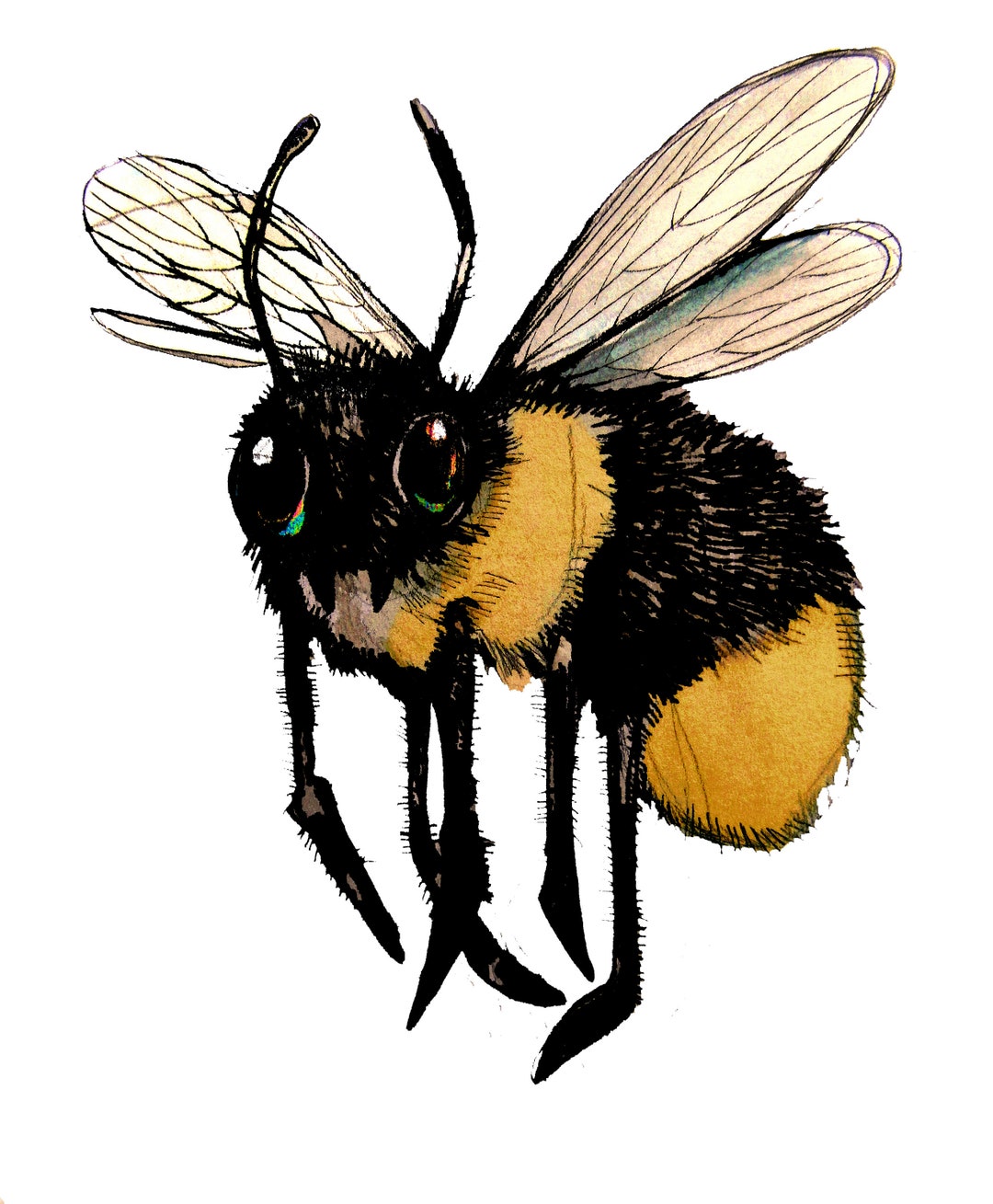 Original Bee Art Bee Illustration Pen and Ink Bee on - Etsy